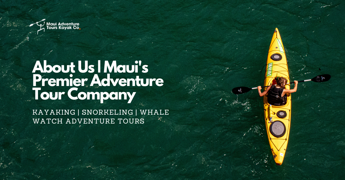 Maui Adventure Tour | The Best Maui's Premier Kayak Tour Co.